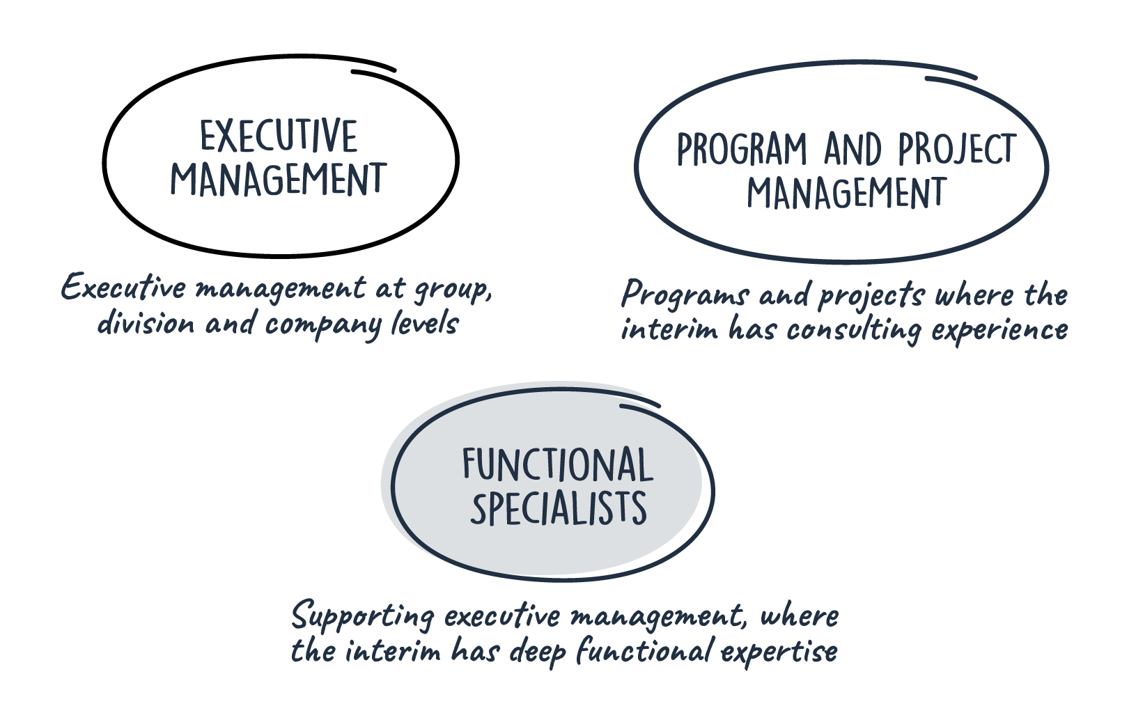Interim Functional Specialists